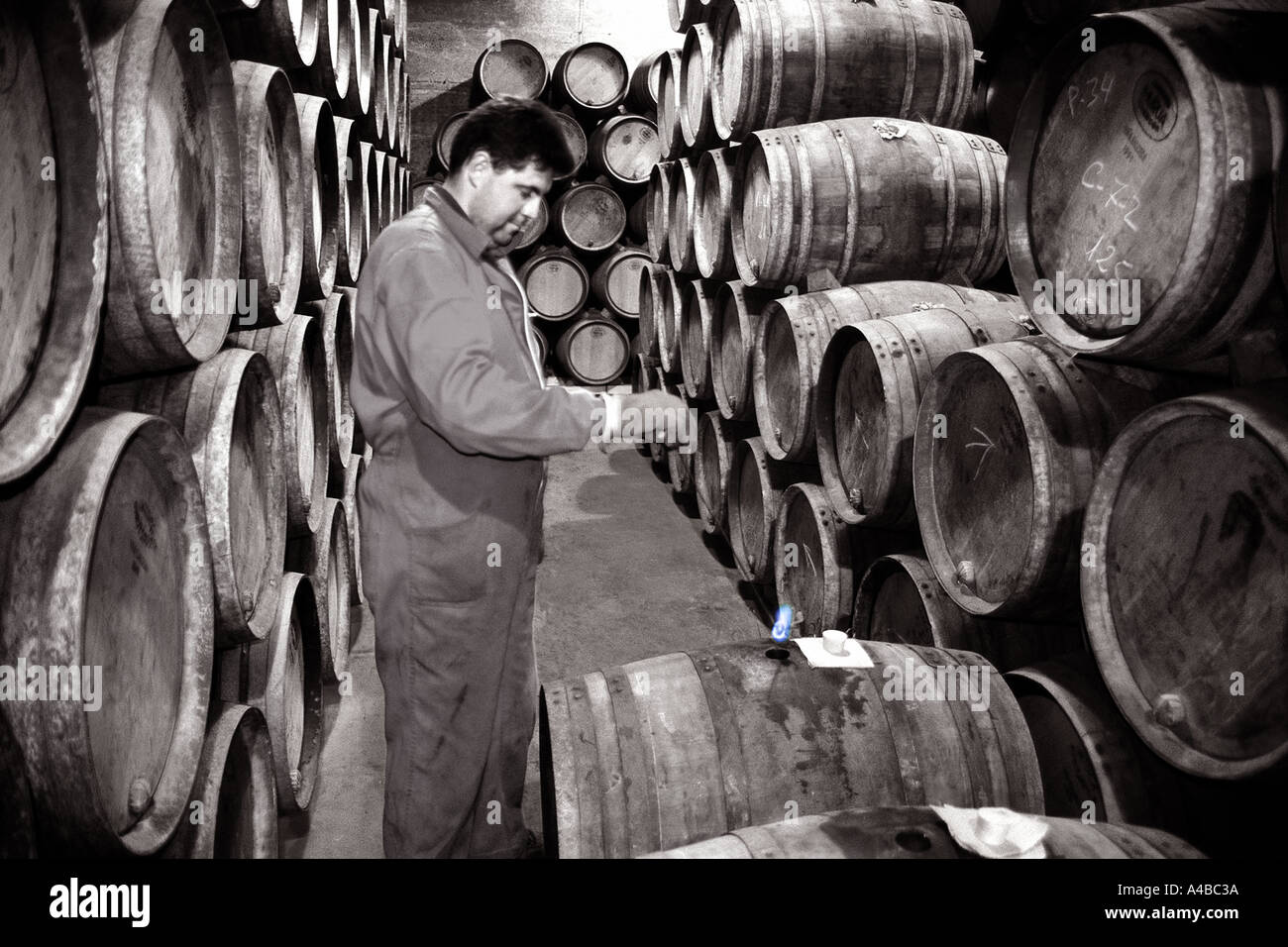 Working inside Viña Salceda winery of La Rioja Spain Stock Photo - Alamy