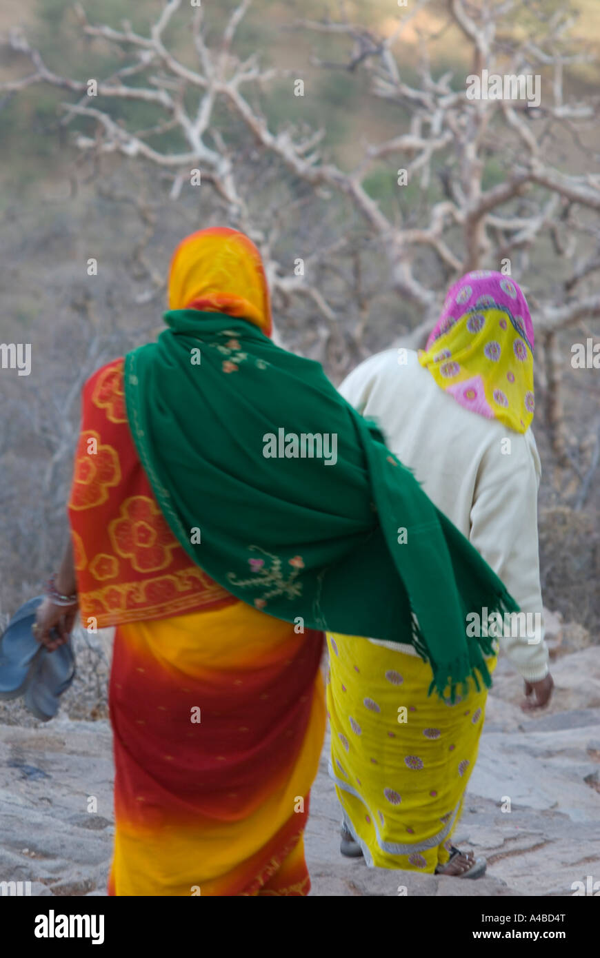 Stock image of Indian Women in bright saris descending from Savitri ...