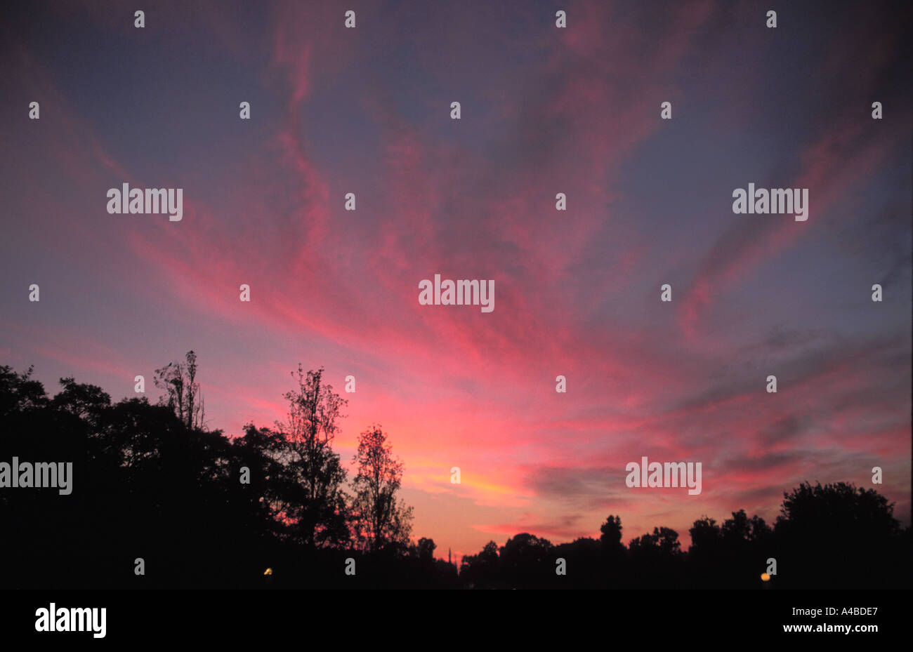 cirrus fibratus cloud clouds sky sun sunset Stock Photo - Alamy