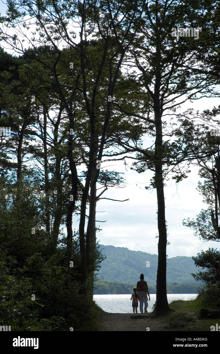 Muckross Lake, Killarney National Park, County Kerry, Ireland Stock ...