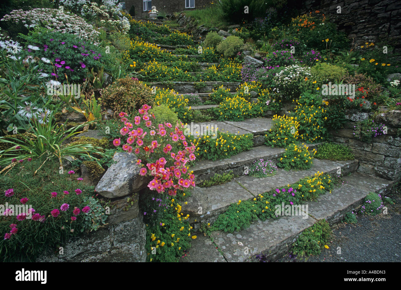 Garden stone steps hi-res stock photography and images - Alamy