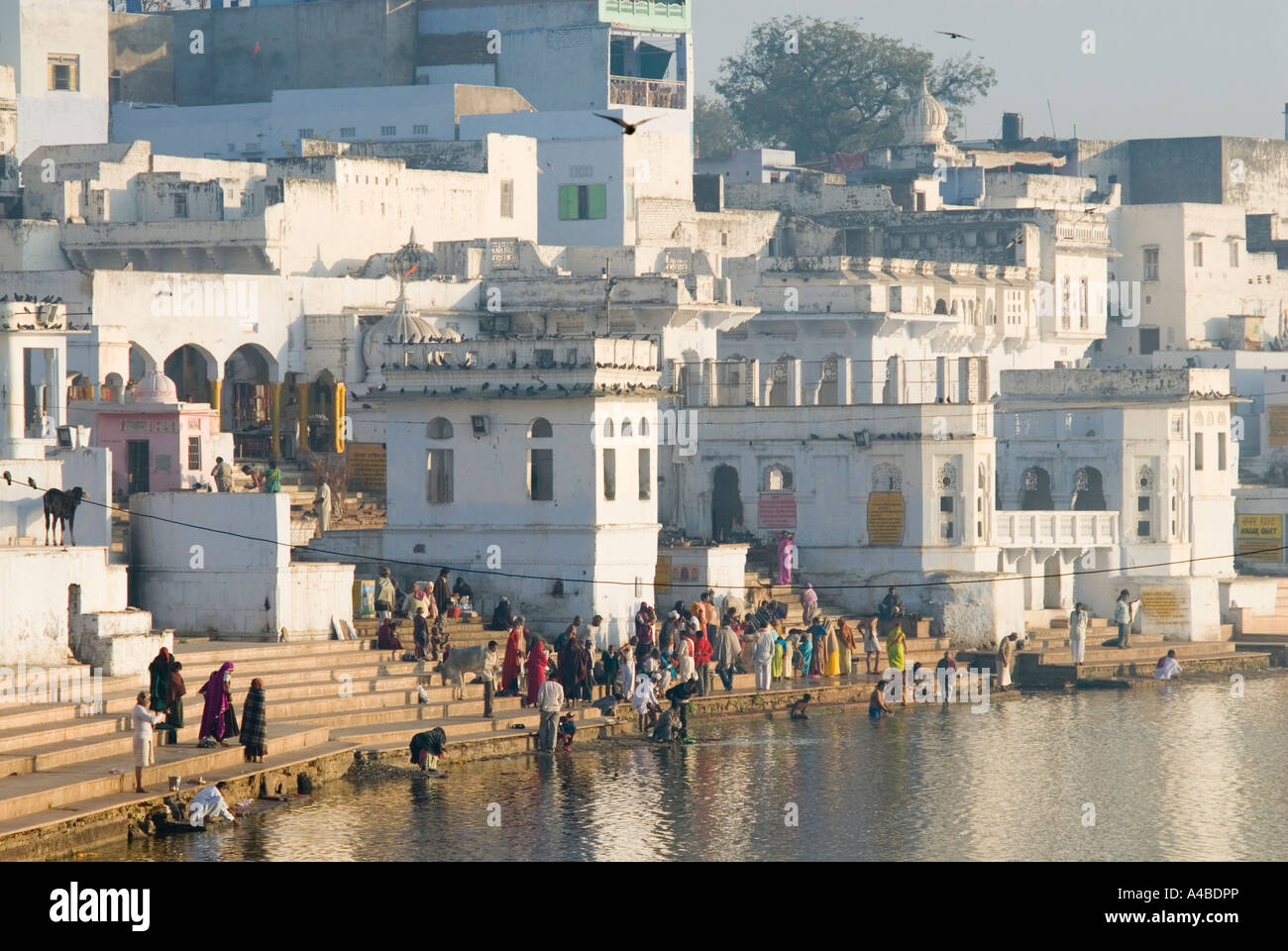 Stock image of the bathing ghats at the hindu holy city of Pushkar ...