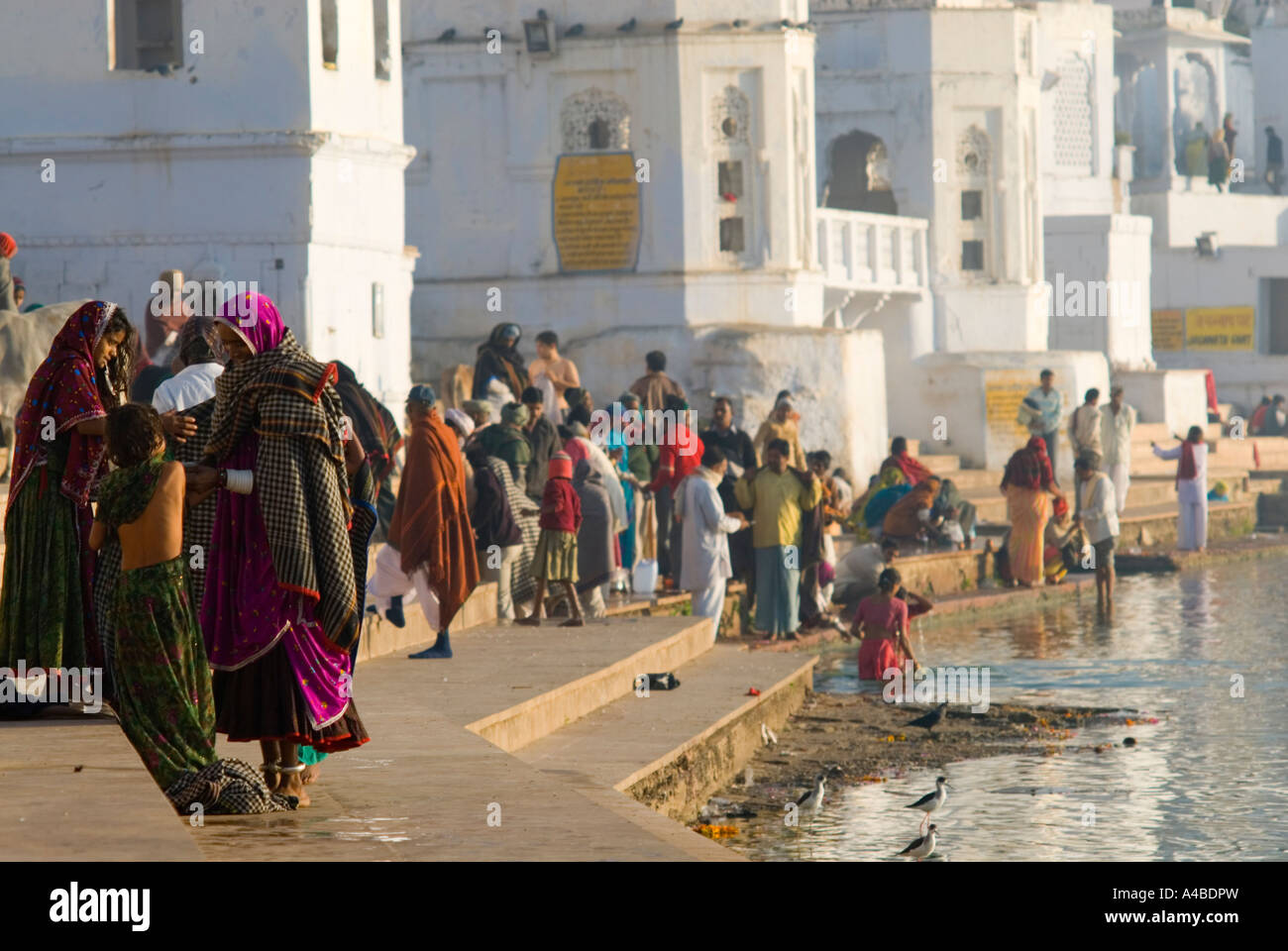 Pushkar bathing ghats hi-res stock photography and images - Alamy