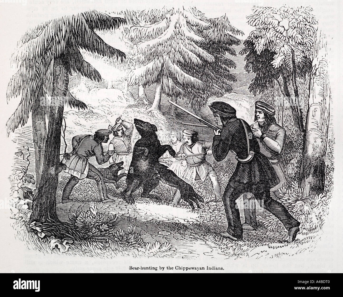 Indians hunting hi-res stock photography and images - Alamy
