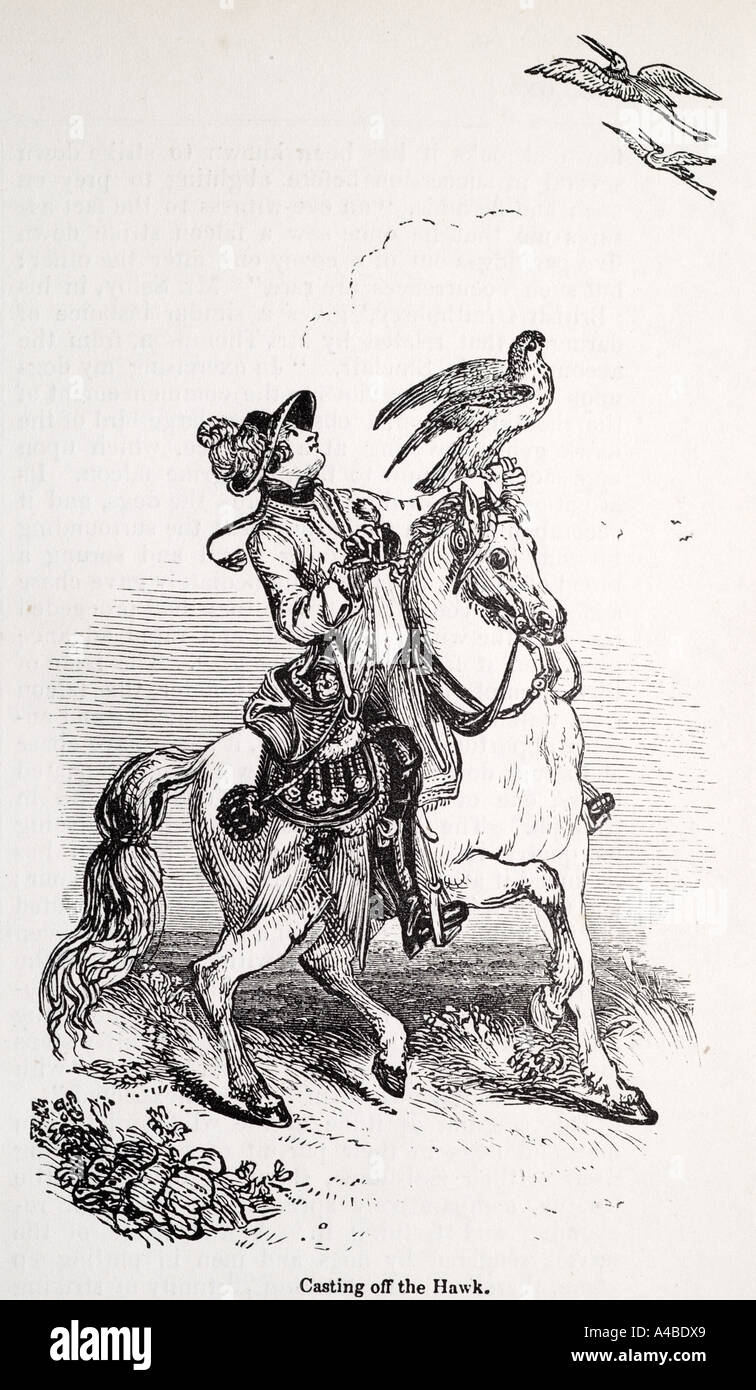 Cartoon hawk hi-res stock photography and images - Alamy