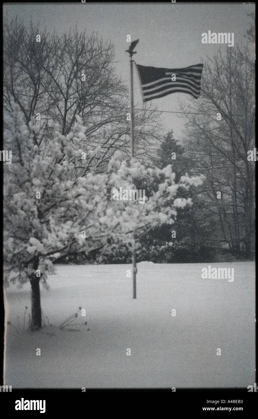 Eagle flagpole usa hi-res stock photography and images - Alamy