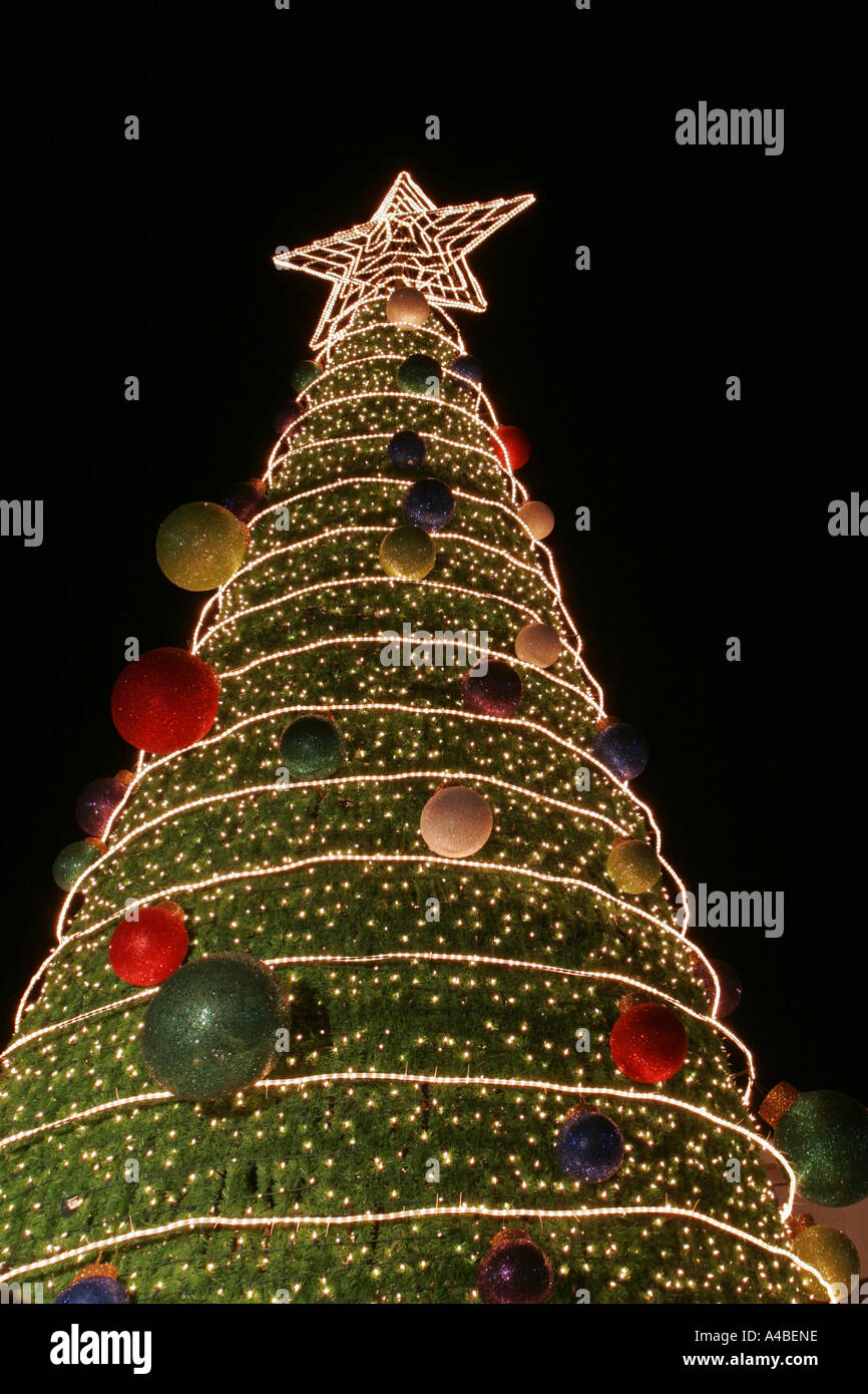 Christmas Tree, Cozumel, Mexico Stock Photo - Alamy