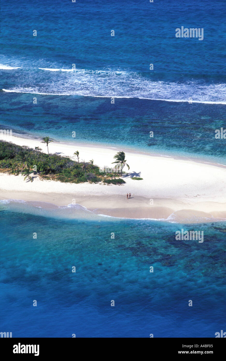 Caribbean island with palm trees in BVI Stock Photo - Alamy