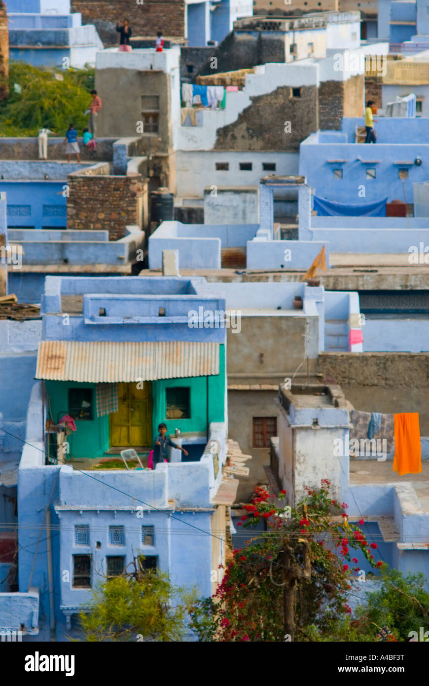Stock image of blue houses in Bundi, Rajasthan, India Stock Photo - Alamy