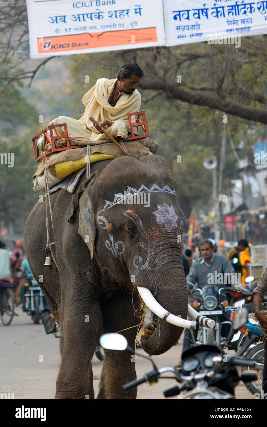 Stock image of elephant and mahoot mahout coming through a market in ...