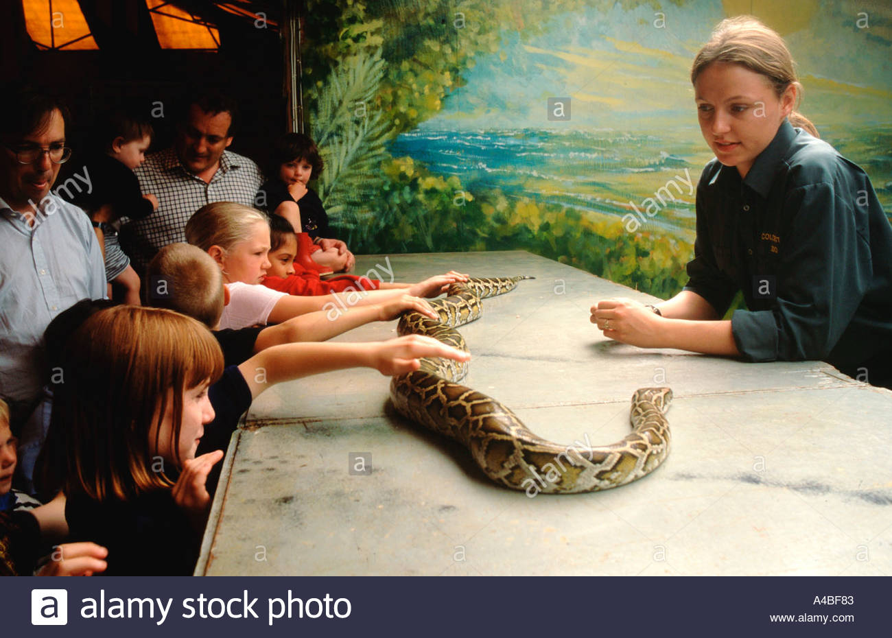 Snake Handling High Resolution Stock Photography and Images - Alamy