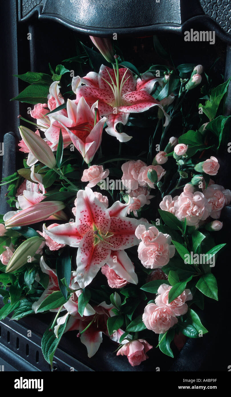 Iron lilly hi-res stock photography and images - Alamy