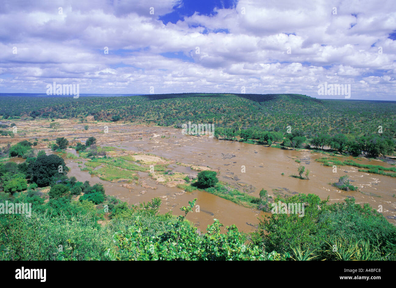 SOUTH AFRICA NORTHERN PROVINCE KRUGER NATIONAL PARK LETABA RIVER AT ...