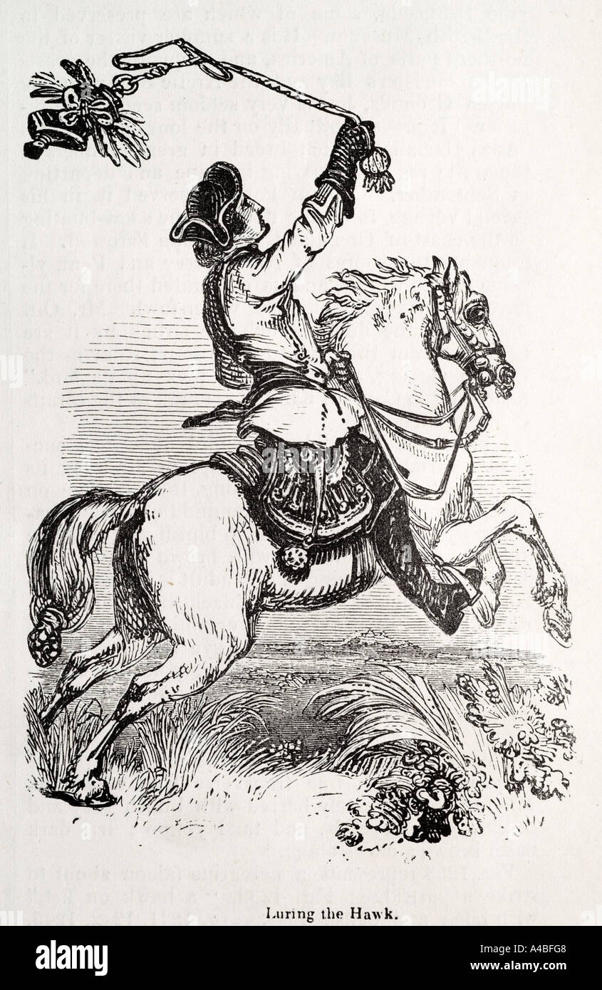 Historic hawk hunting hi-res stock photography and images - Alamy