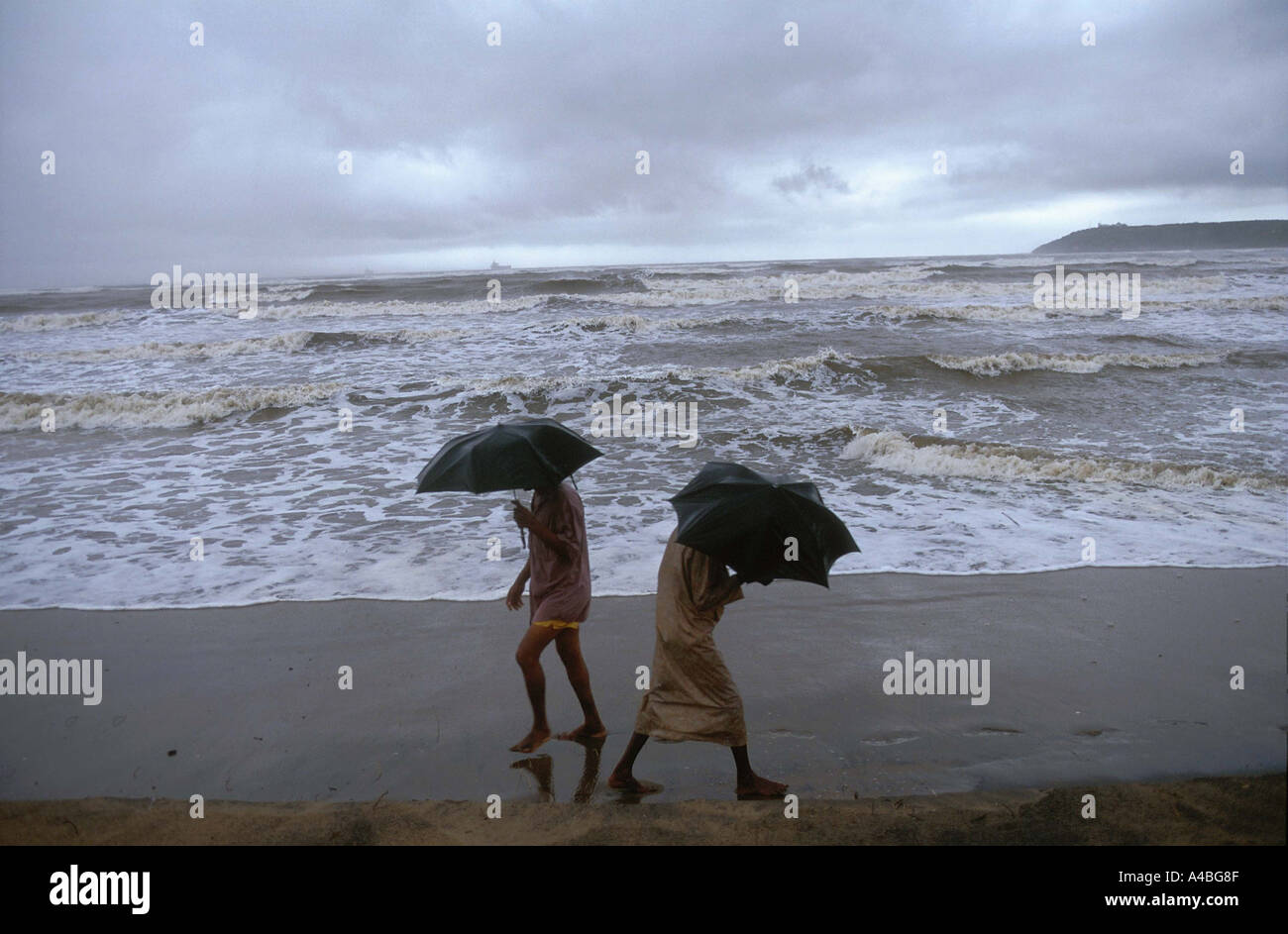 Goa, India. With the tourists gone during the monsoon season the ...