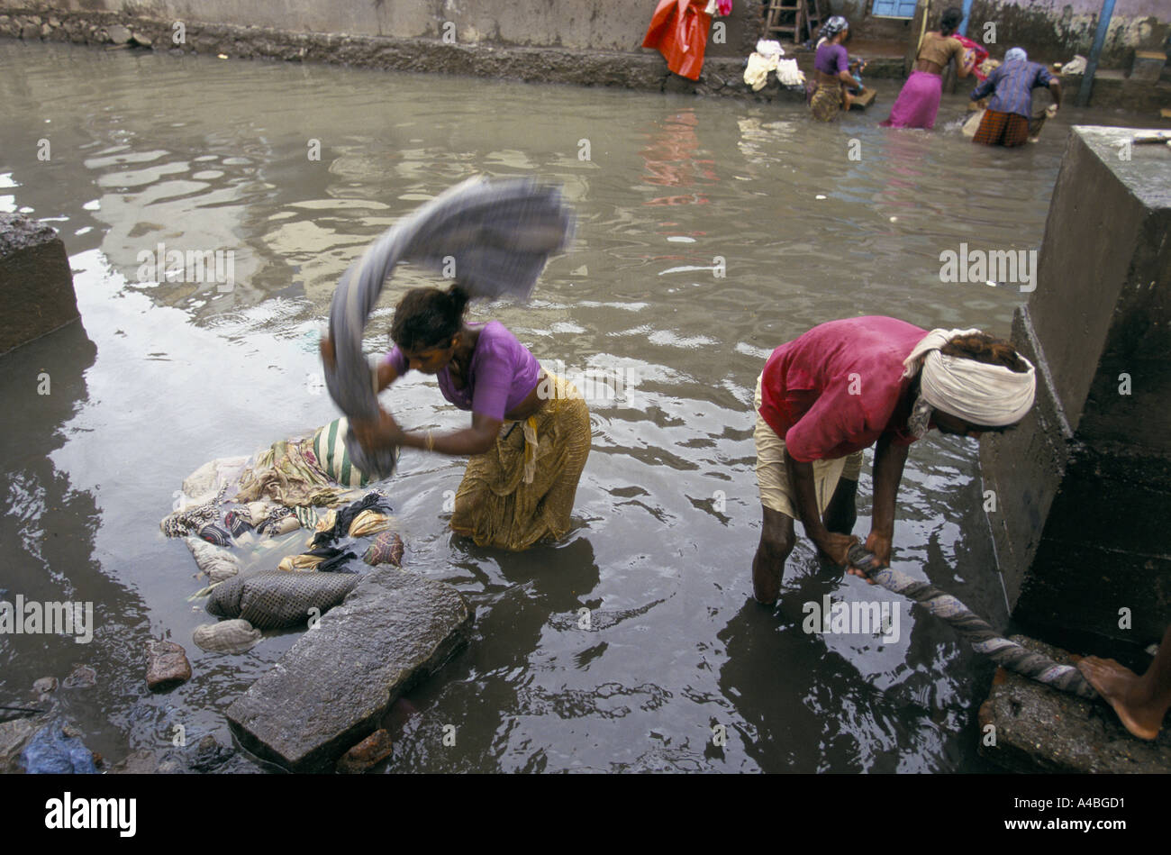 Monsoon Story, India', Bombay. A Laundry Service, 1999 Stock Photo - Alamy