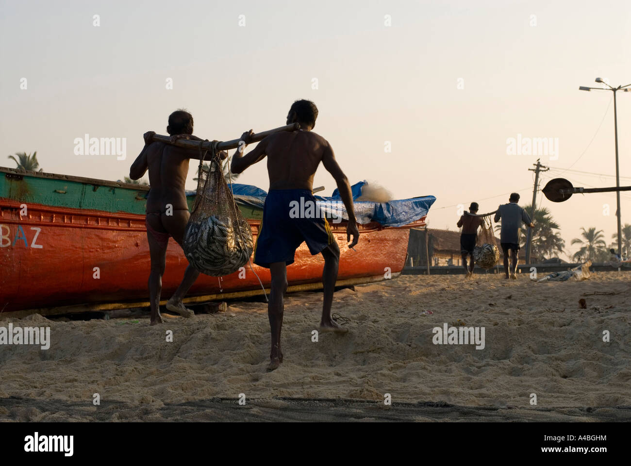 Goa fishermen carrying in sardines and mackeral from their nets in ...