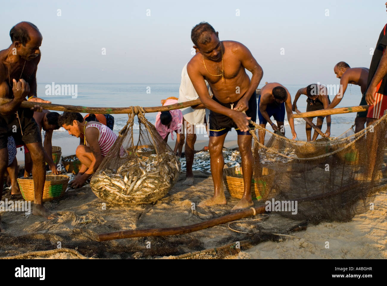 Goa fishermen sorting fish hi-res stock photography and images - Alamy