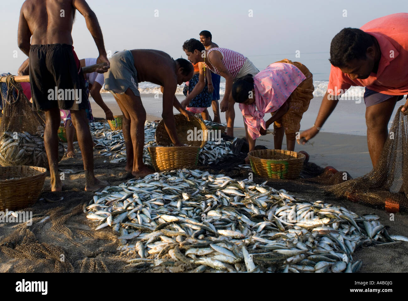 Fish market in goa hi-res stock photography and images - Alamy