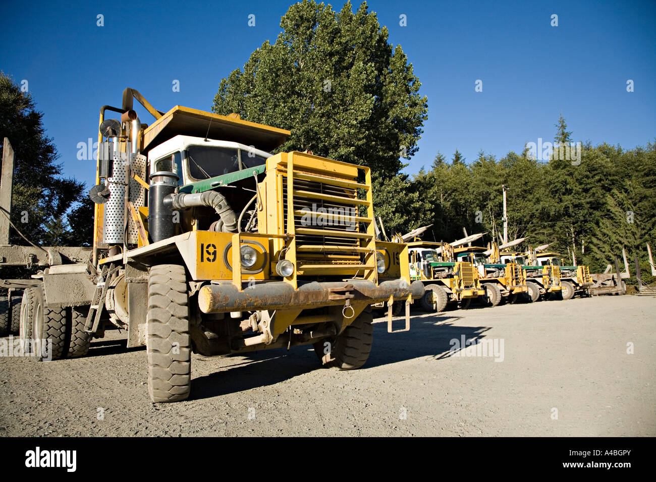 Logging lorry Port McNeill Vancouver island Canada Stock Photo - Alamy