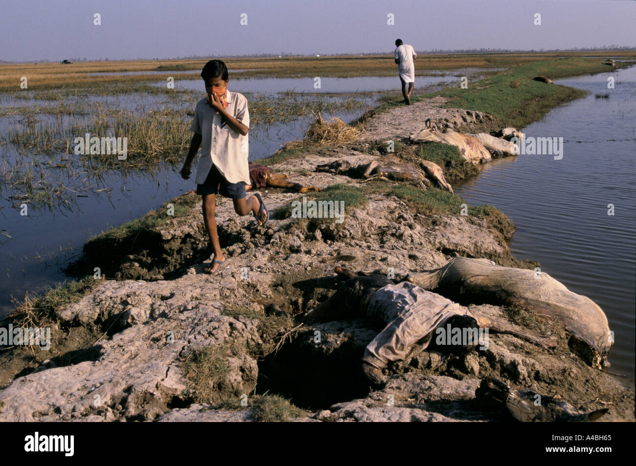 The 1999 orissa cyclone hi-res stock photography and images - Alamy
