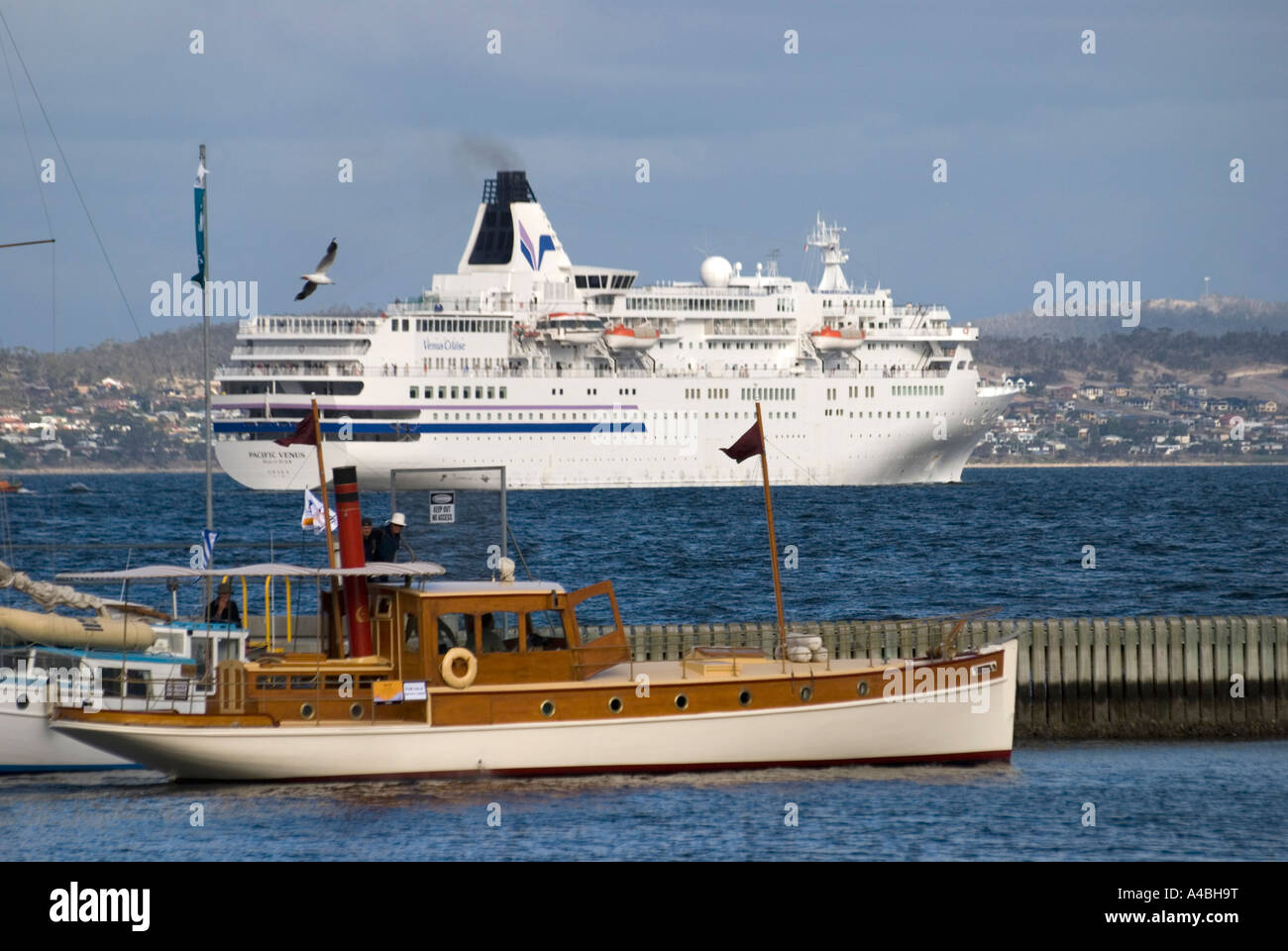 The luxury Japanese cruise ship Pacific Venus leaving Hobart Tasmania ...