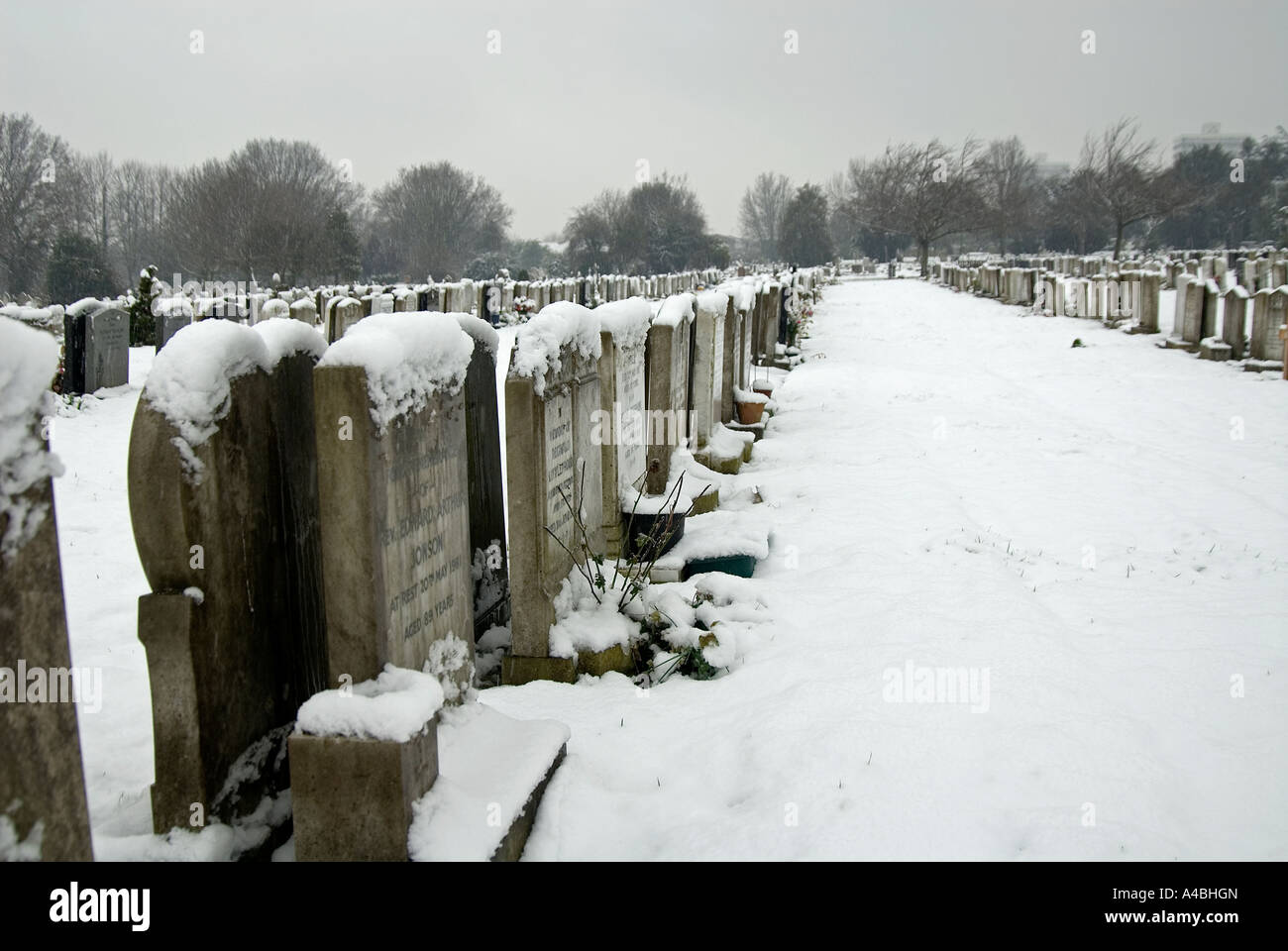 Rows of grave stones covered in snow Stock Photo - Alamy