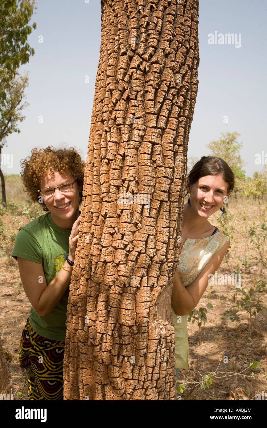Young women beside shea tree Stock Photo - Alamy