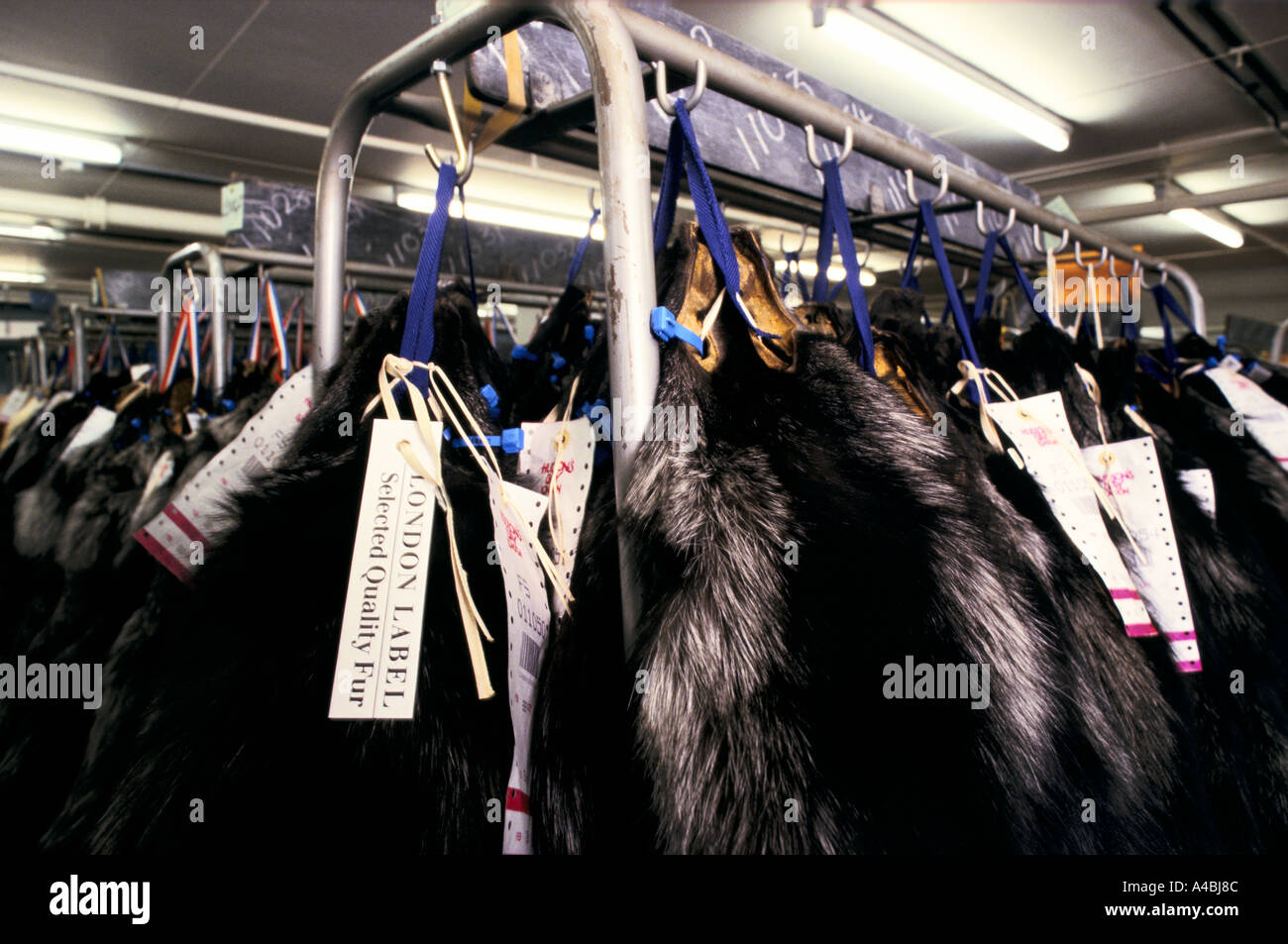 Hanging furs hi-res stock photography and images - Alamy