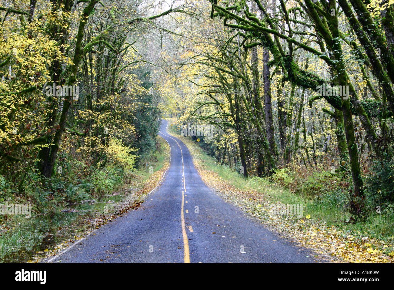 39,029.09519 Small paved two-lane Back-Road Highway Twisting Beneath A ...