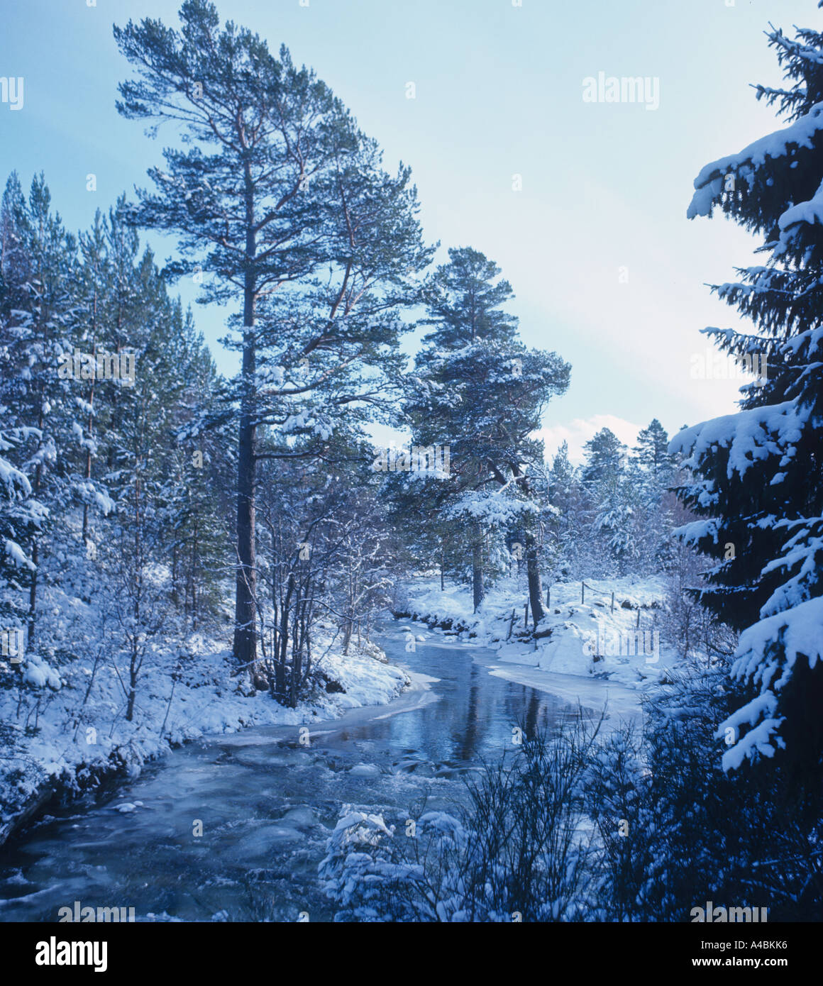 Visit cairngorms hi-res stock photography and images - Alamy