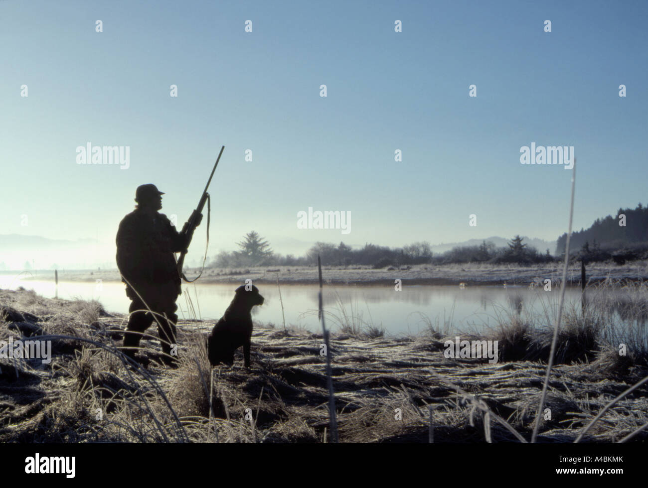 Man, Labrador Hunting Dog & Duck Goose Hunting Landscape Stock Photo ...