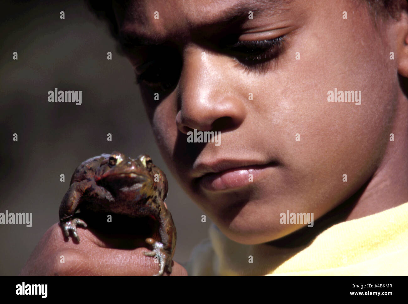 Boy observing / meeting a Toad / frog, learning from nature study ...