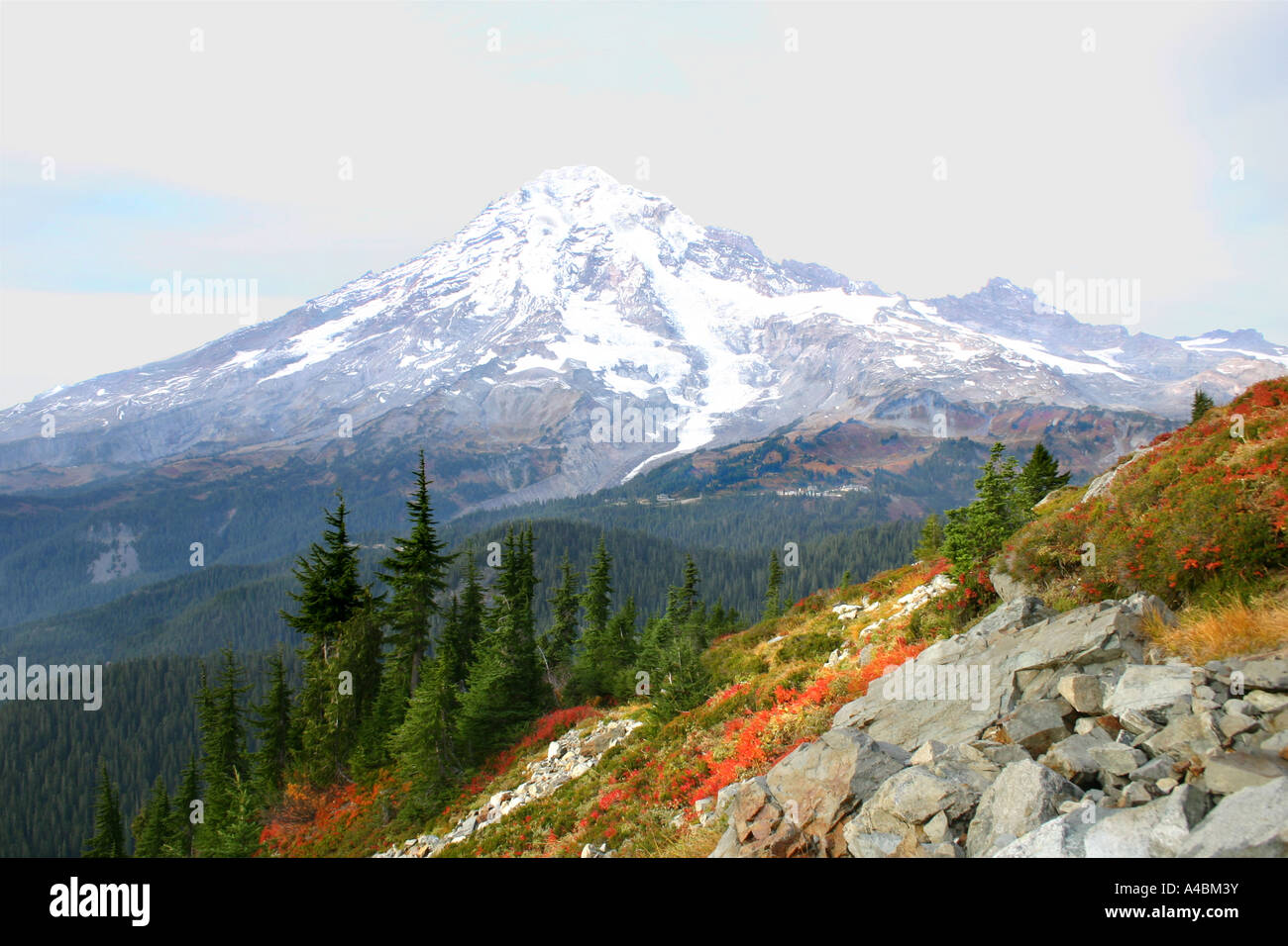 39,013.09044 colorful snow covered Mt Rainier, Mount Rainier National ...