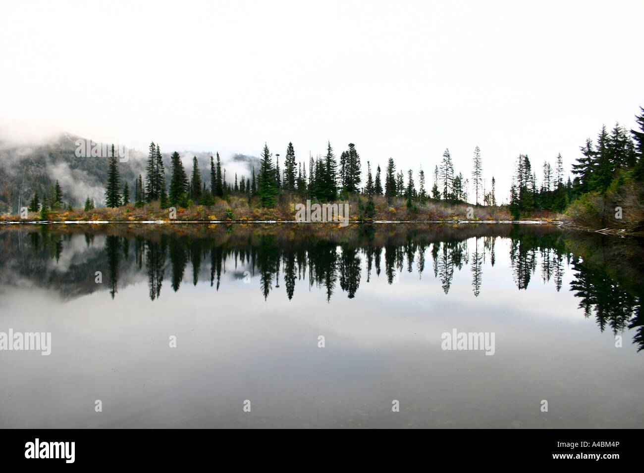 Bench lake mount rainier hi-res stock photography and images - Alamy