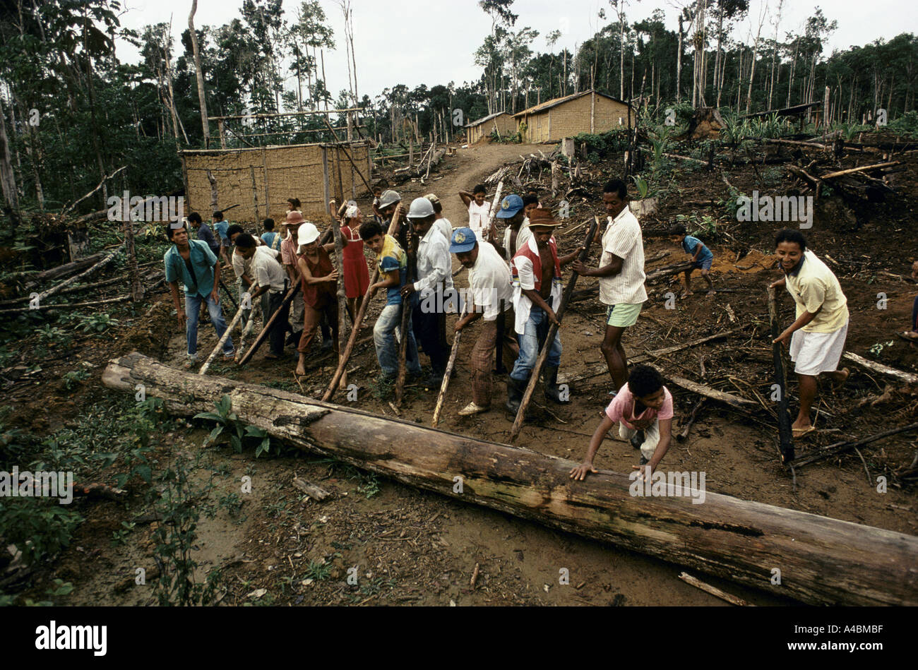 The oppressed tree hi-res stock photography and images - Alamy