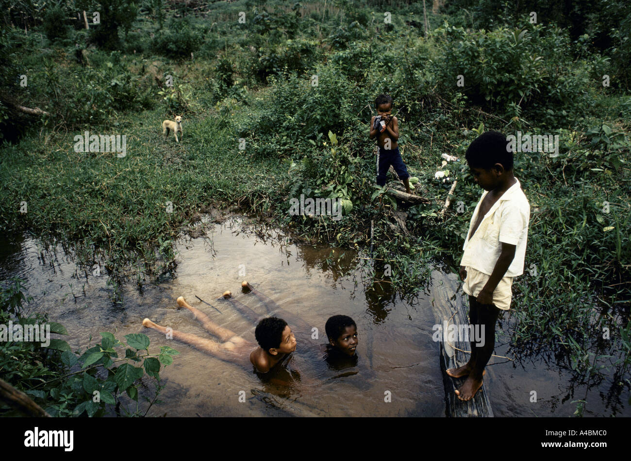 Children play in a stream by a burned out house, Utumuju Bahia Province ...