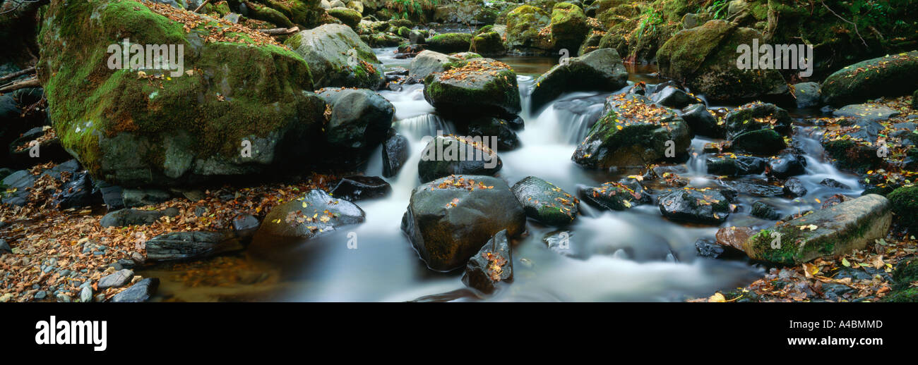 A beautiful panoramic image of a Cumbrian river with large mossy ...