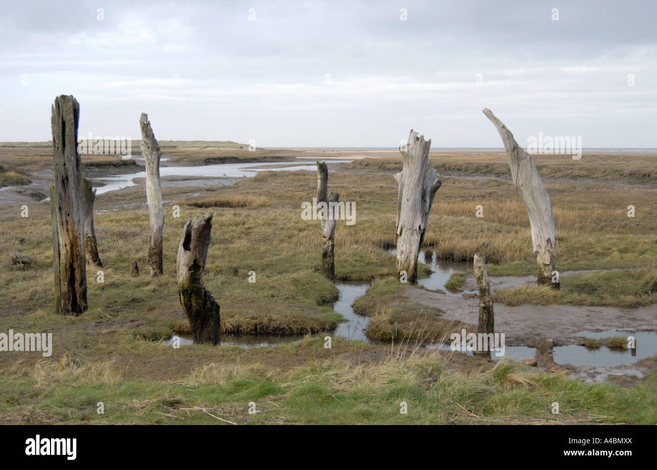 Thornham Marshes North Norfolk UK Stock Photo - Alamy