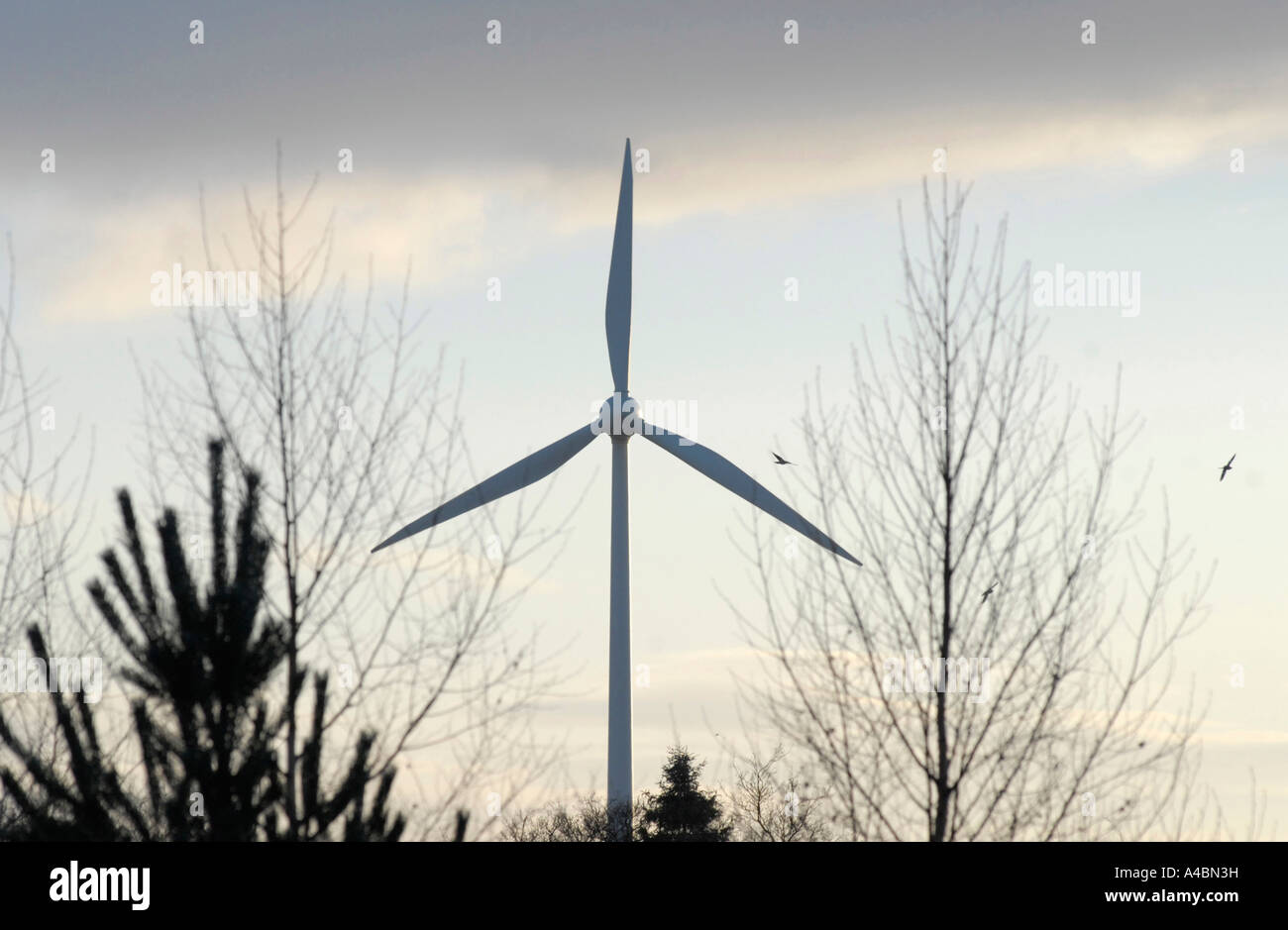 Swaffham Wind Turbine High Resolution Stock Photography and Images - Alamy