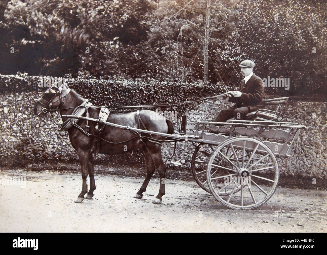 Pony and Trap Transport History Wales Stock Photo - Alamy
