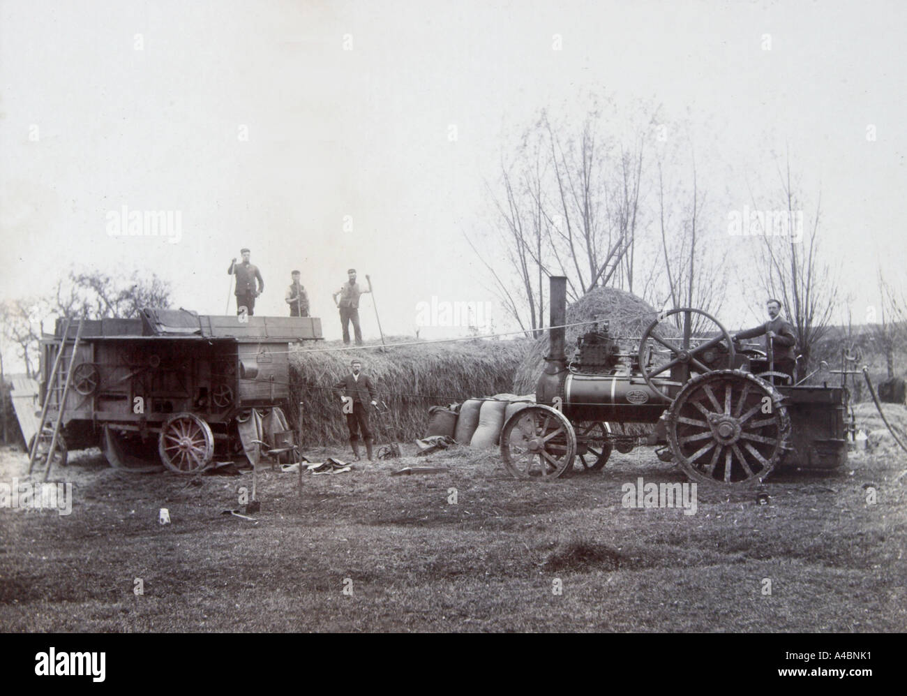 Threshing Agriculture History Wales Stock Photo - Alamy