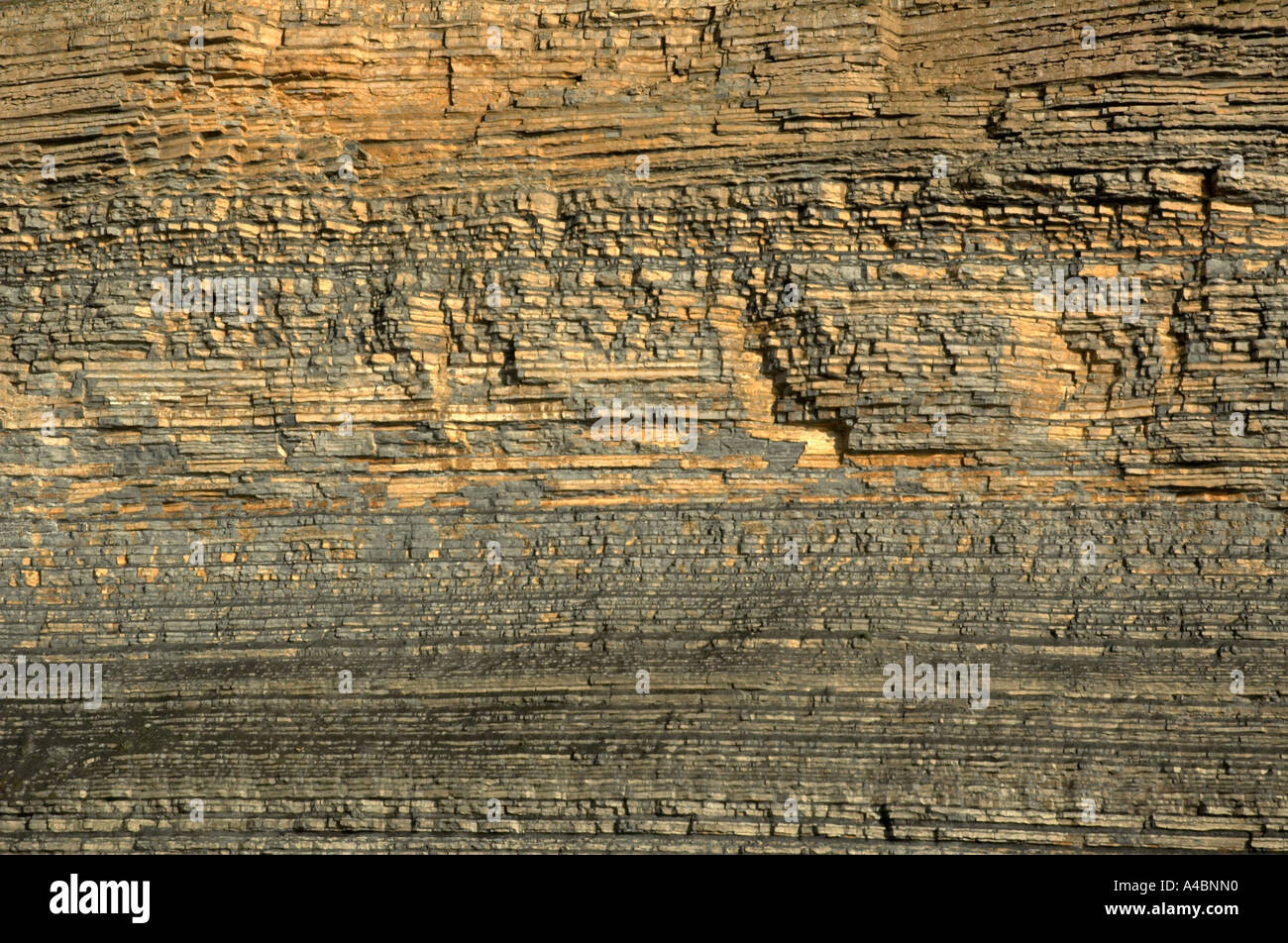 Layers of Sedimentary Rock Cliff Face Traeth Mawr Heritage Coast South ...