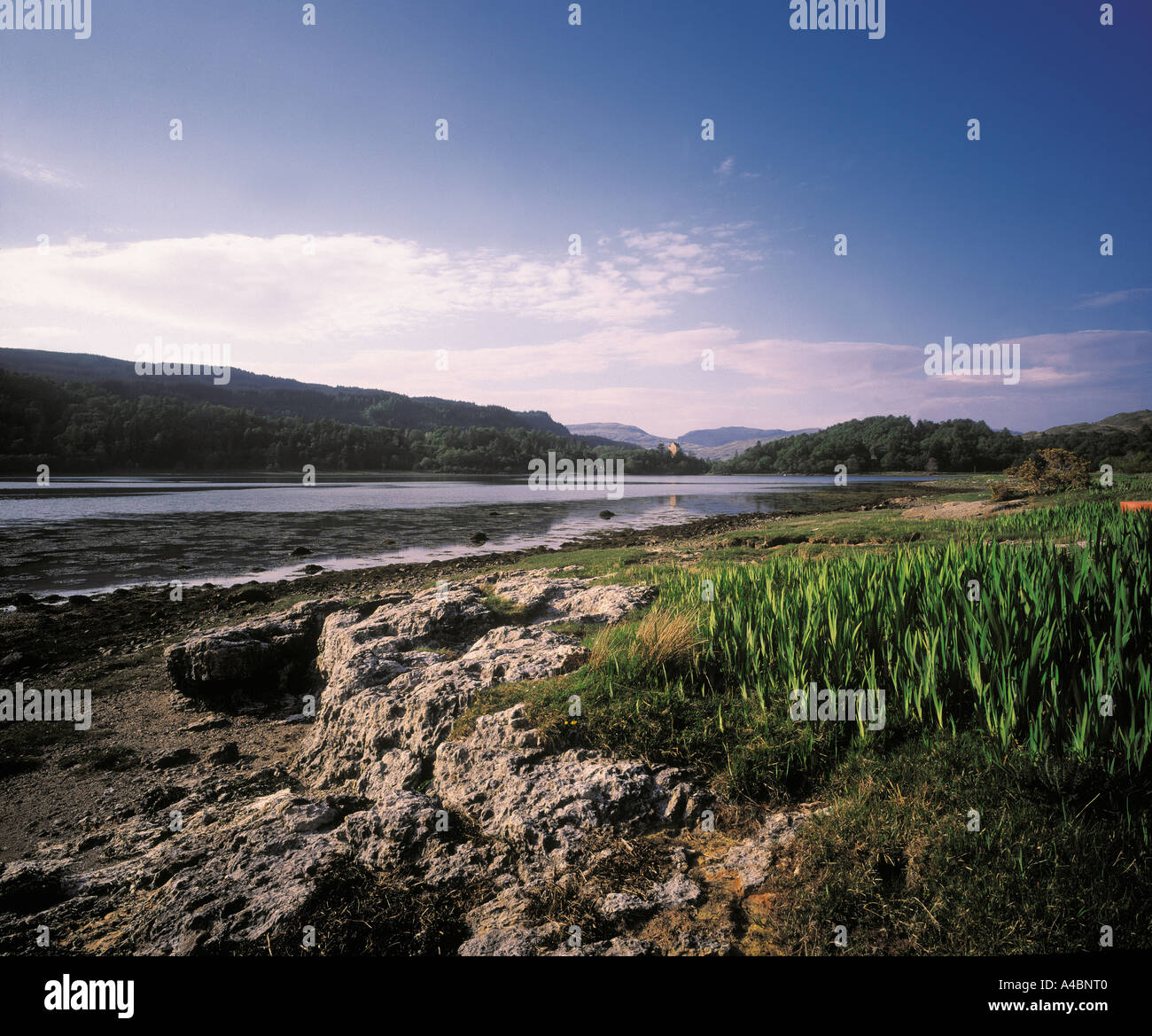 Loch aline scotland hi-res stock photography and images - Alamy