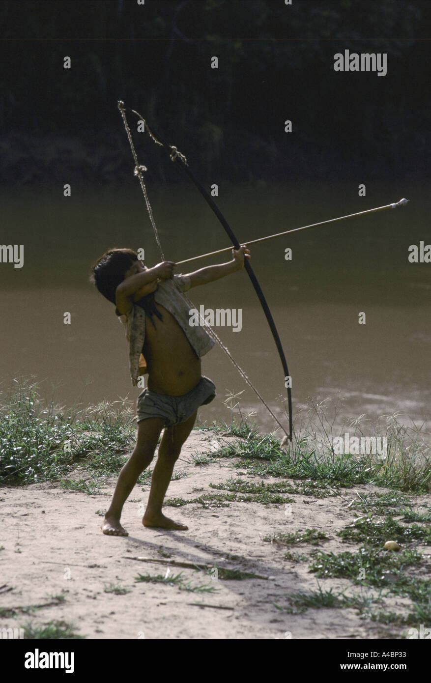 Amazon bow arrow hi-res stock photography and images - Alamy