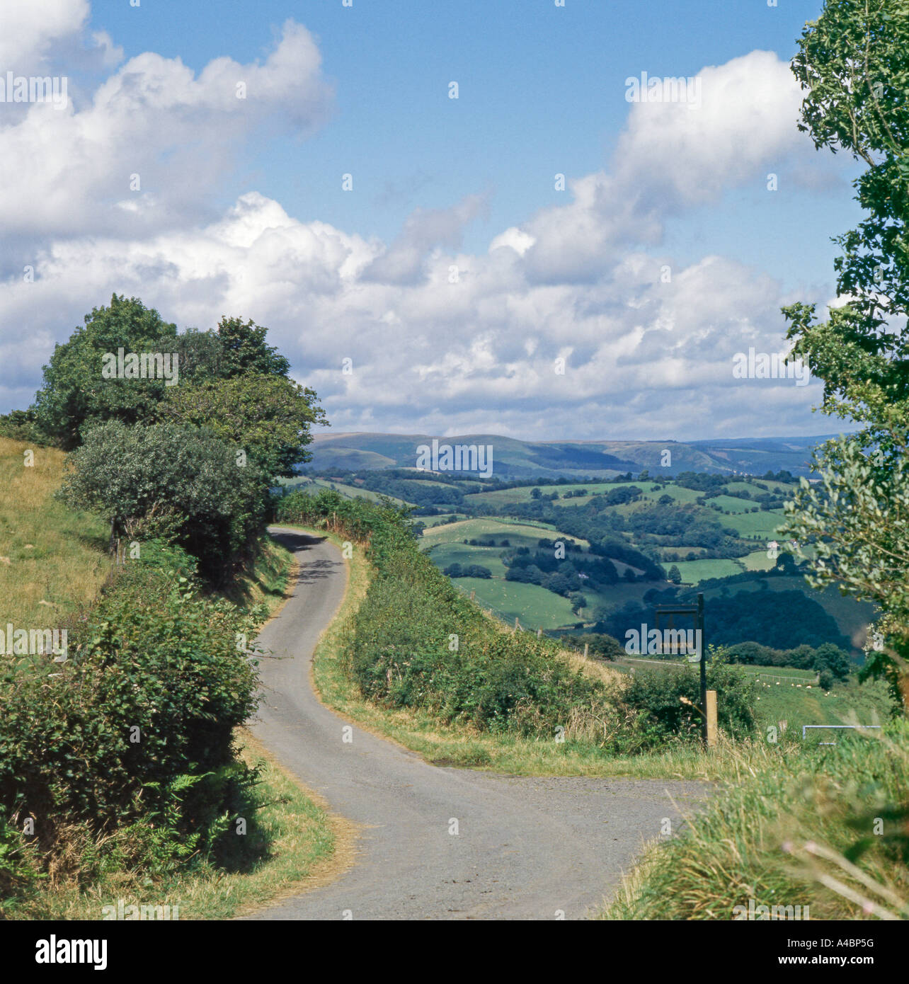 Bending Country Road High Resolution Stock Photography and Images - Alamy