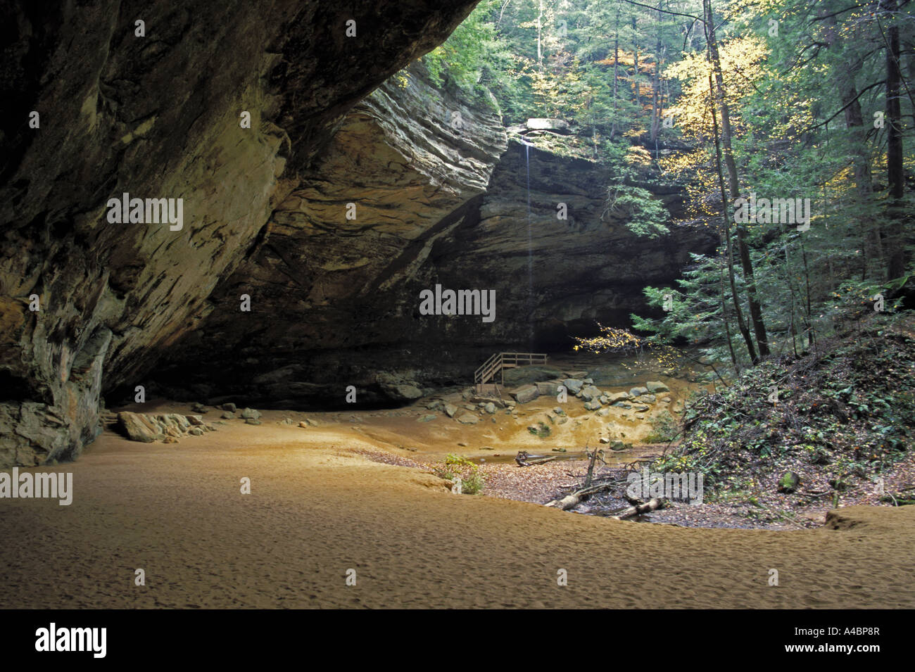 Ash cave state park hi-res stock photography and images - Alamy