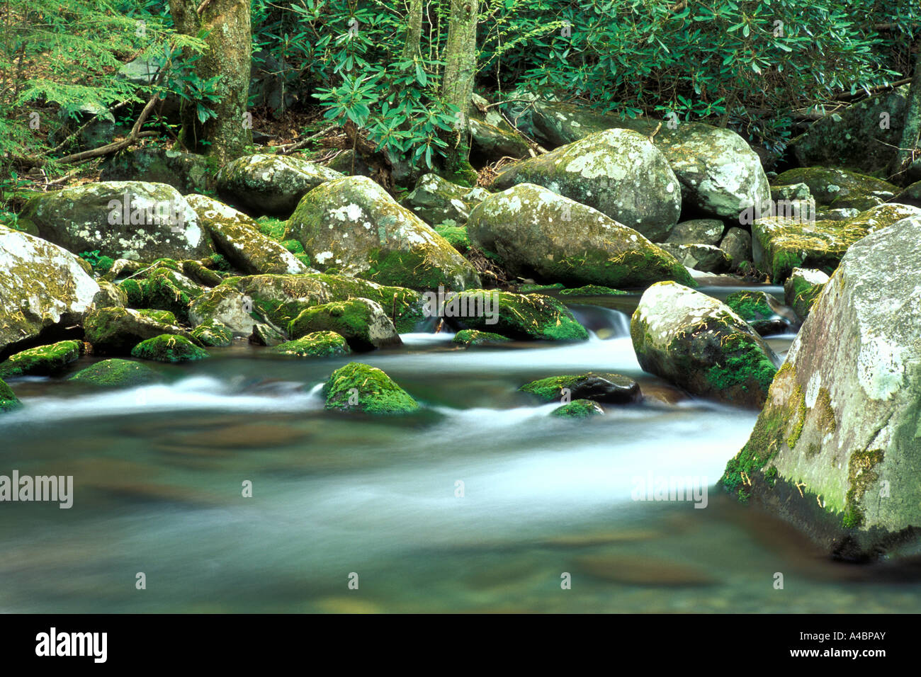 Spring flow hi-res stock photography and images - Alamy