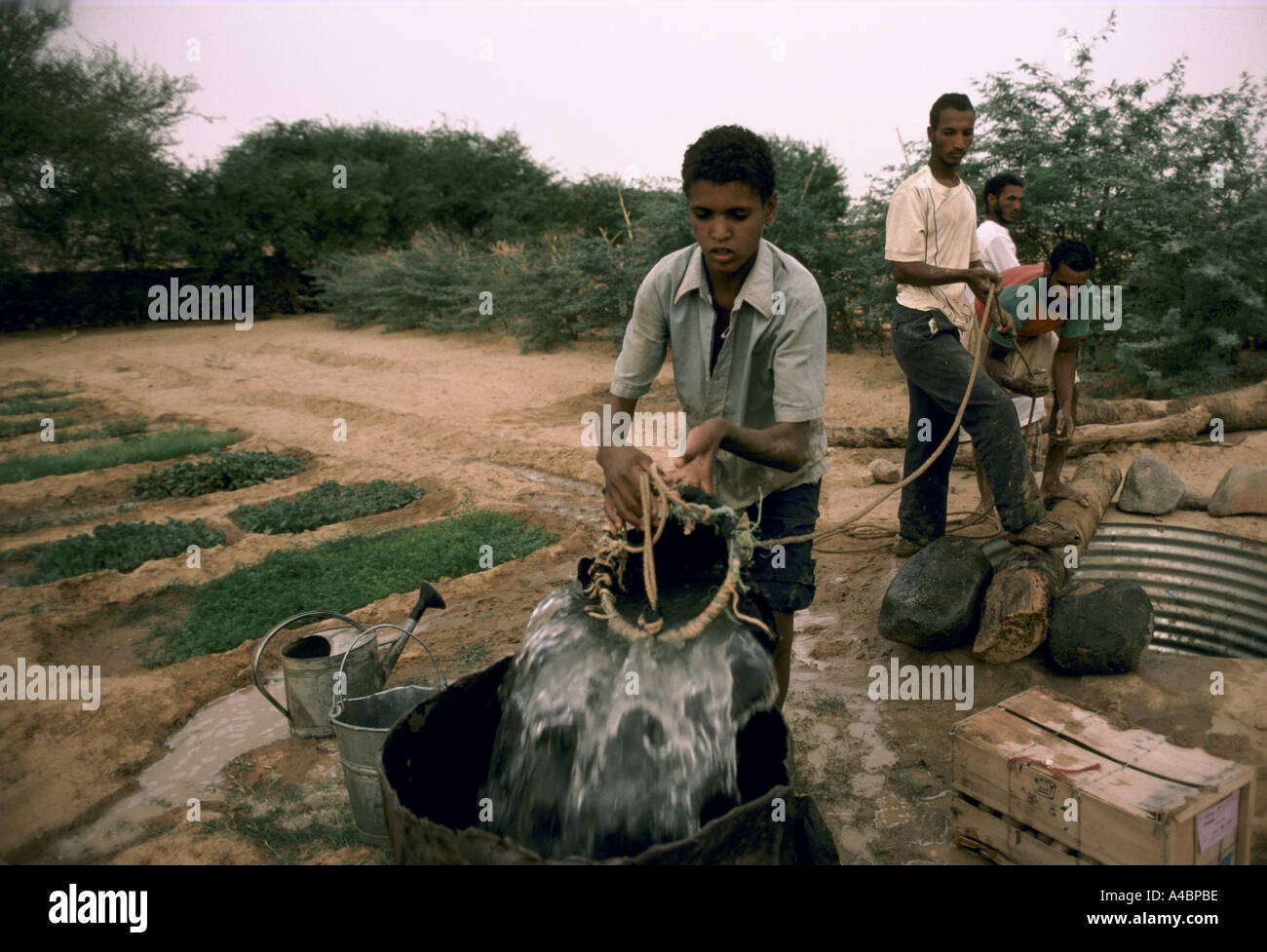 boy collecting water from well in desert near agelock mali Stock Photo ...