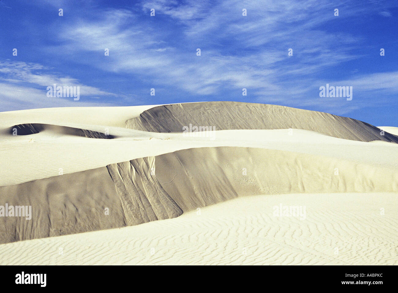 White colored sand dunes at the Oregon Dunes National Recreation Area ...